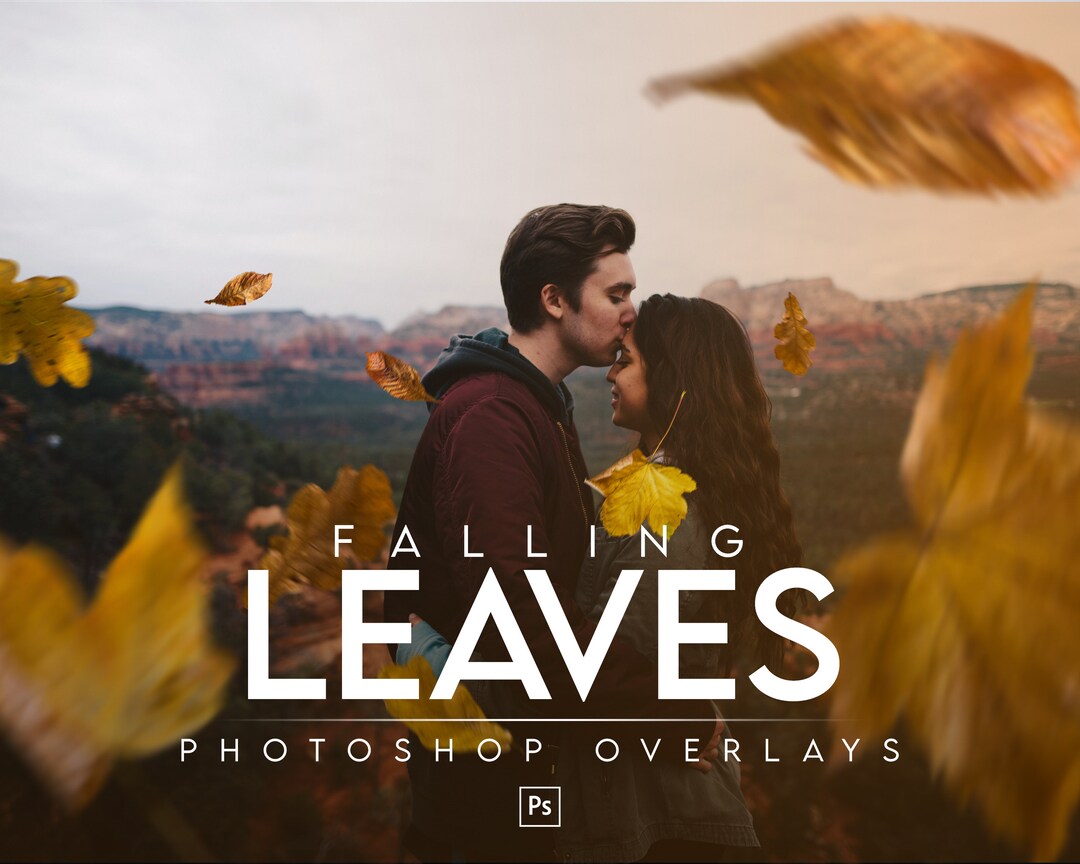 130 Falling Leaves Photo Overlays, Fall Overlays, Autumn Overlays ...