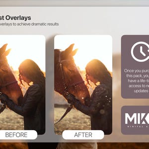 150+ DUST OVERLAYS | Floating Dust, Falling Dust, Bokeh Dust Overlays ...