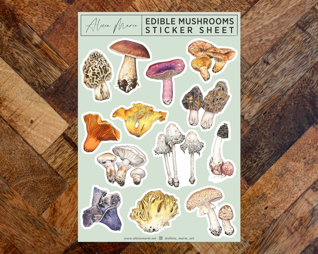 Edible Mushrooms Sticker Sheet 13 Stickers - Etsy