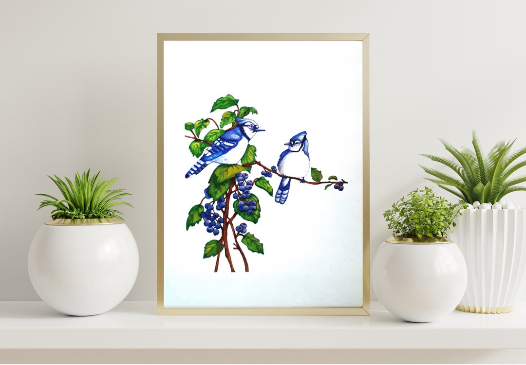 BLUE JAY and Blueberries, A3 Print (42 X 29.7 Cm - 16.5x11.7 In) From ...