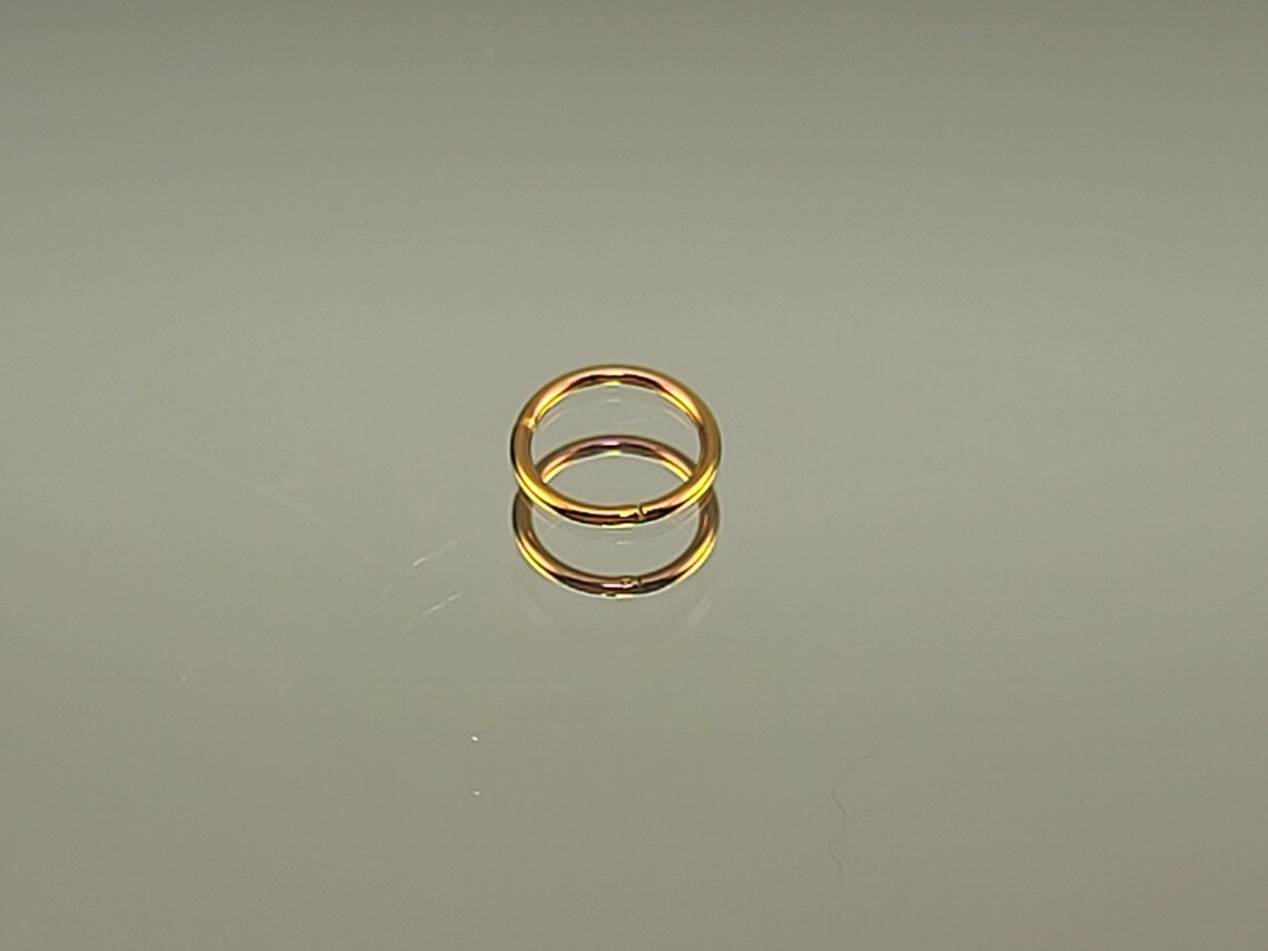 3/8 10mm 18g Titanium Hinge Clasp Hoop 3/8 | Etsy