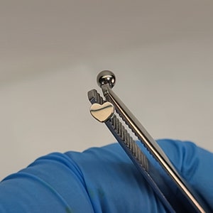 16g (1.2mm) Titanium Silver Heart and Fixed Ball Curved Threadless ...