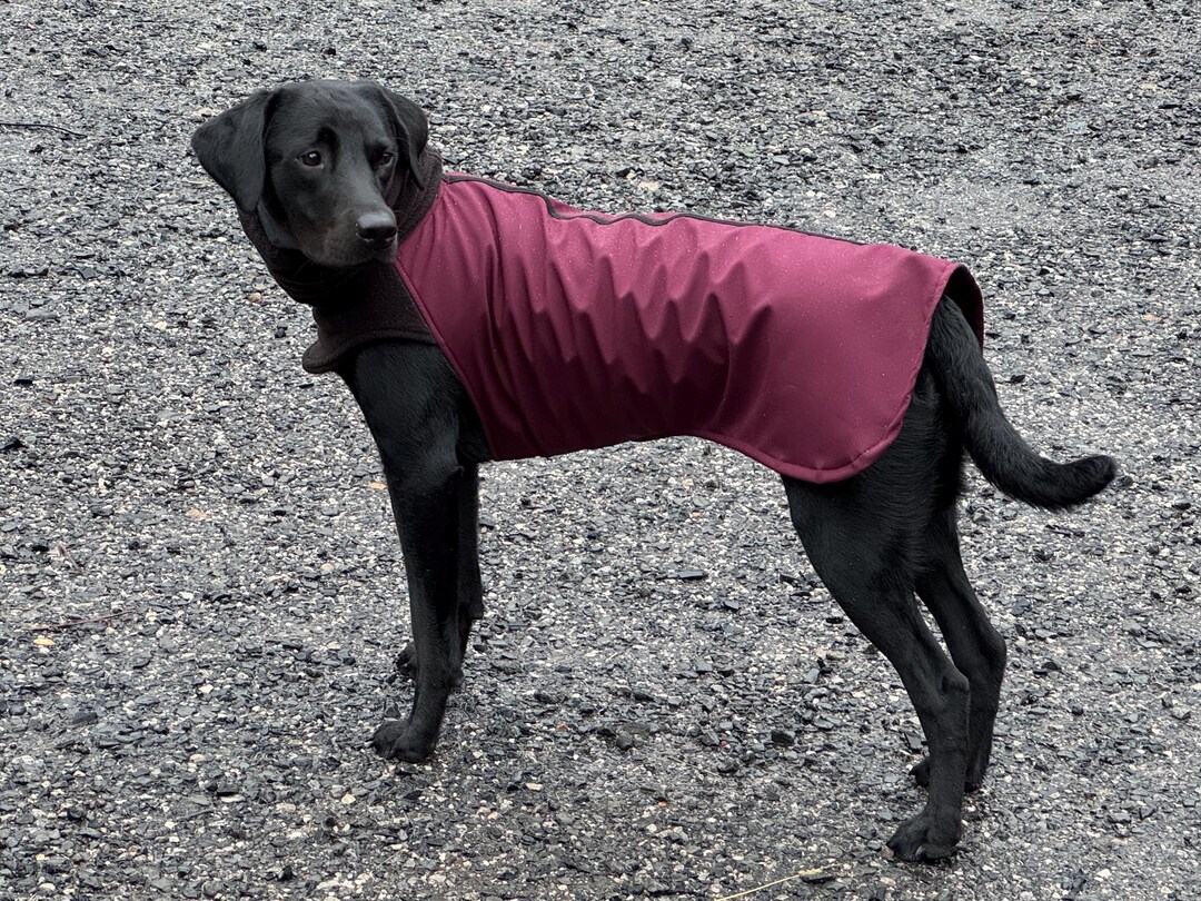 Foxy Dogs Winchester Burgundy Soft Shell Dog Jacket. - Etsy
