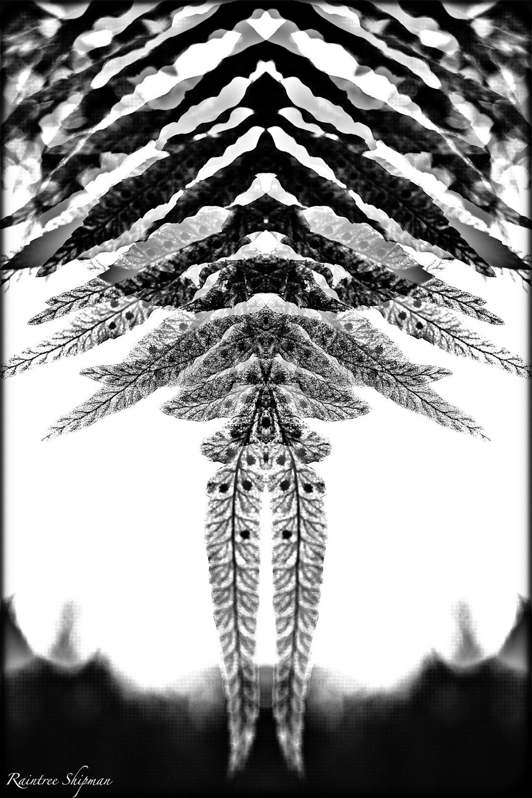 Rorschach Test Metal Print - Etsy