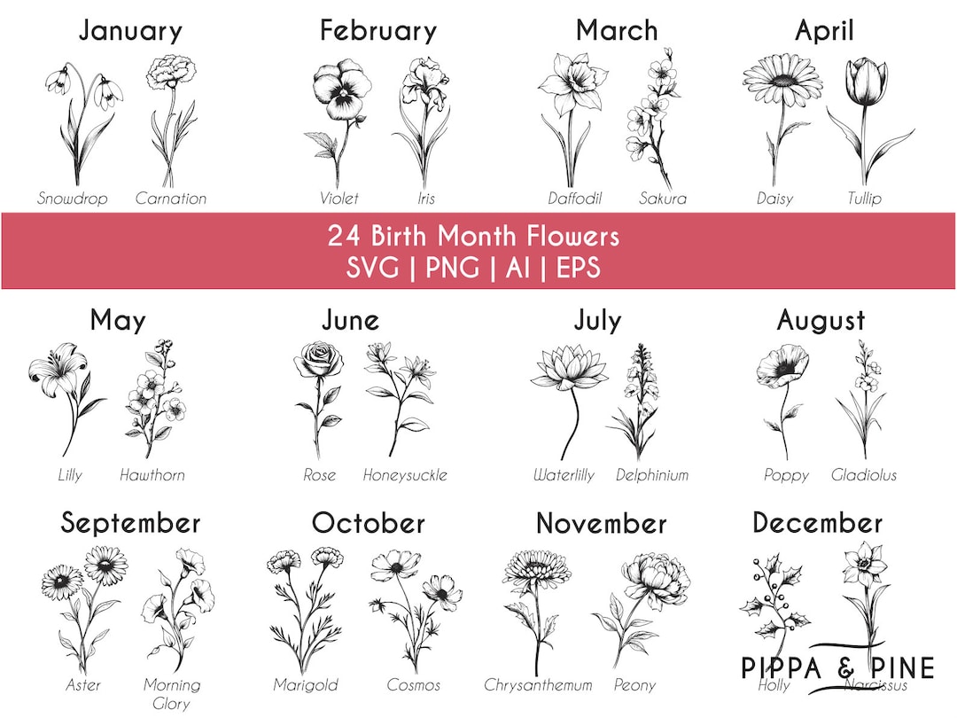 Hand-drawn Birth Month Flowers Vector Bundle Downloadable in SVG, AI ...