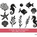 Ocean Themed Design for Sublimation | Hand Drawn Ocean Animals PNG SVG ...