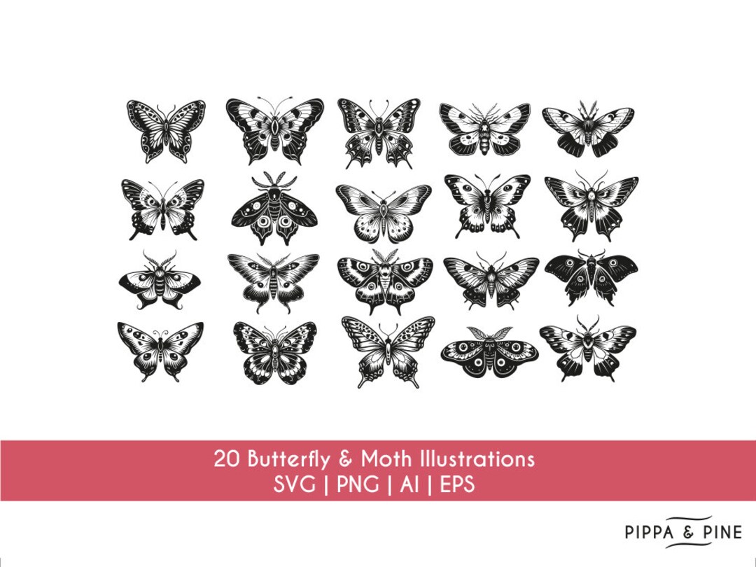 Hand-drawn Moth and Butterfly Vector Bundle | Downloadable in SVG, AI ...