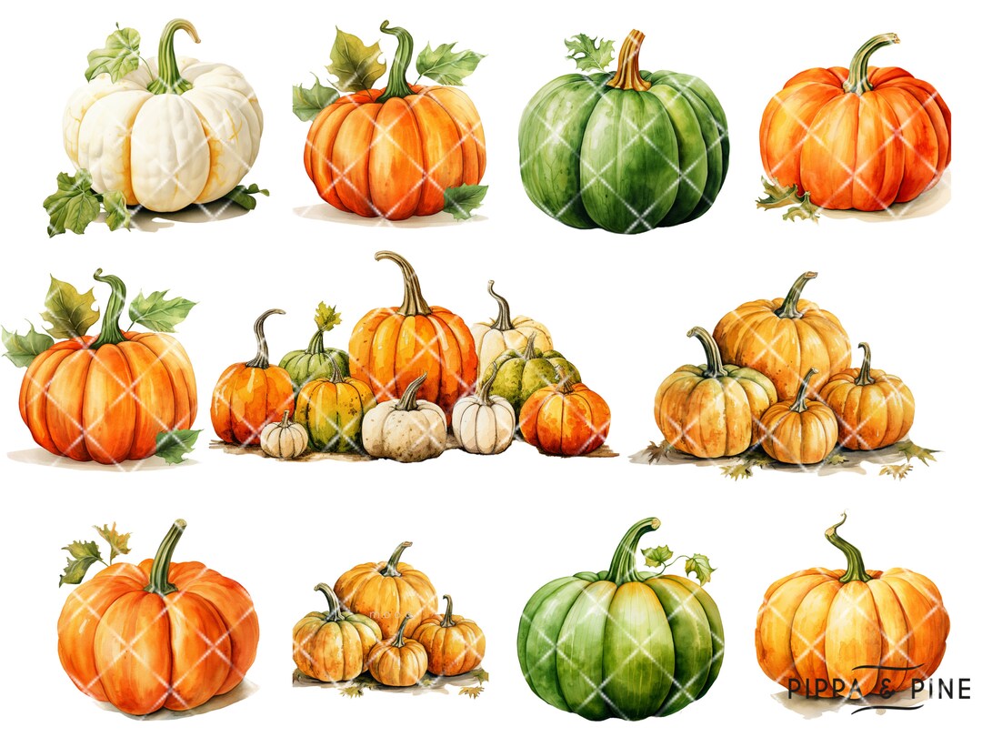 Pumpkin Watercolor Clipart - Autumn PNG Instant Download | Commercial ...