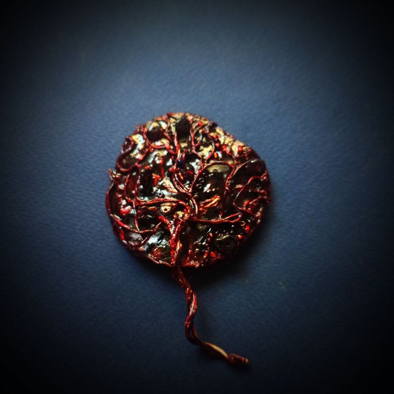 Placenta - Etsy