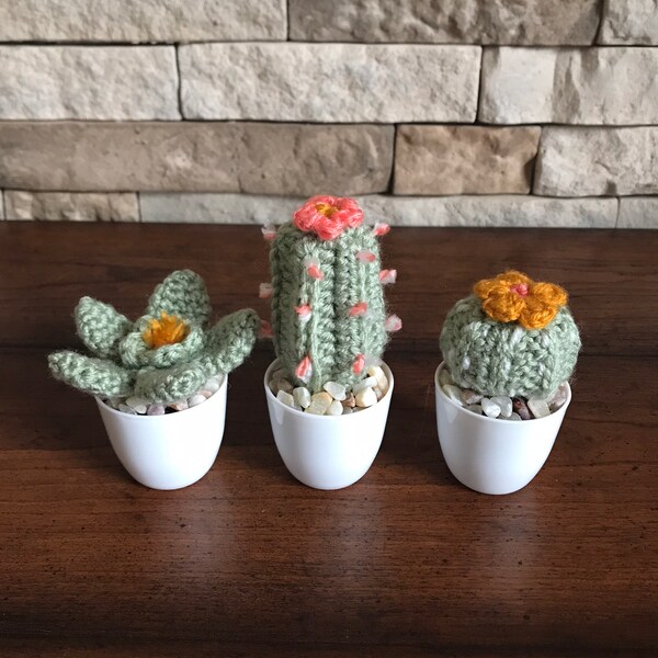 Cactus Wedding Favor - Etsy