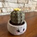 Crochet Barrel Cactus in Pot With Face, Cute Cactus Decor, Cactus Desk ...