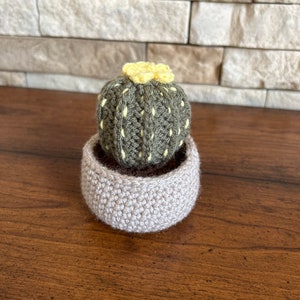 Crochet Barrel Cactus in Pot With Face, Cute Cactus Decor, Cactus Desk ...