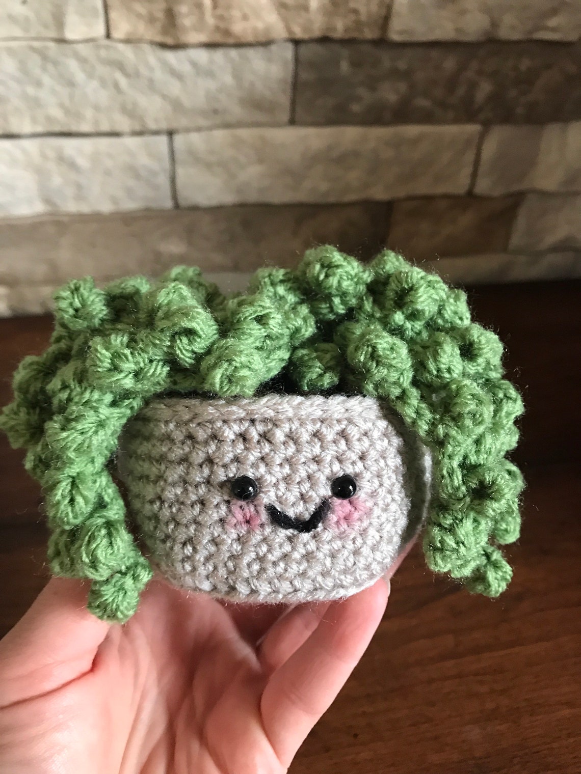 String of pearls crochet succulent crochet plant in pot with | Etsy