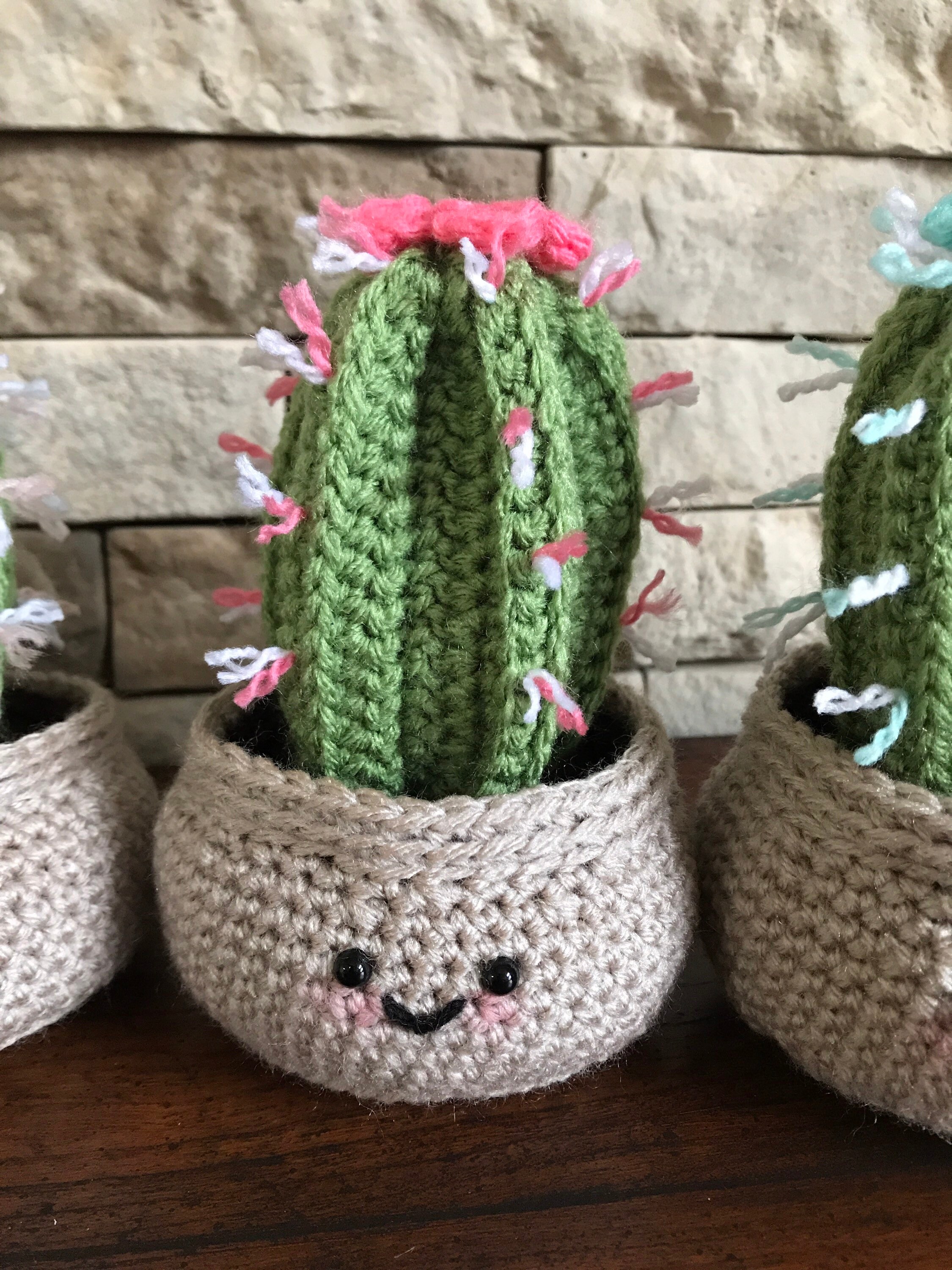 Cactus in Pot With Face Crochet Cactus Decor Desk Decor - Etsy