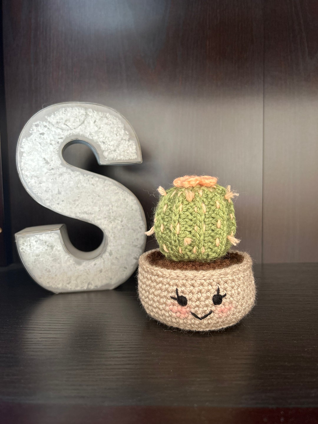 Crocheted Barrel Cactus in Pot With Face - Etsy
