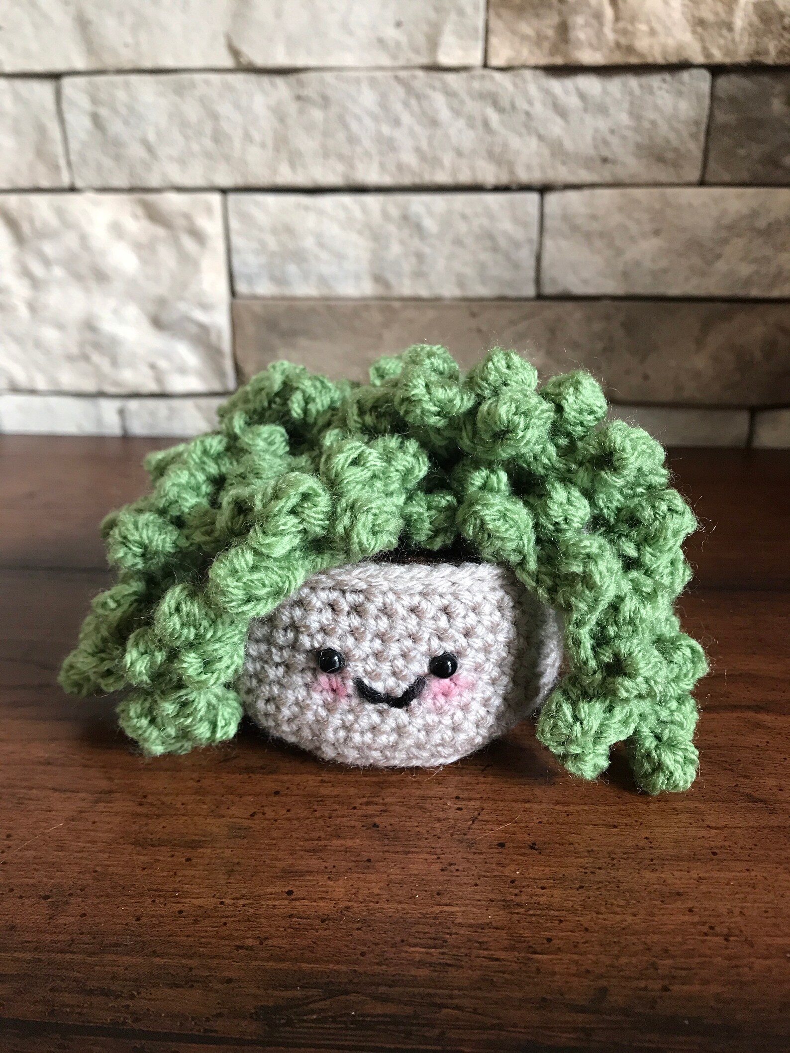 String of pearls crochet succulent crochet plant in pot with | Etsy