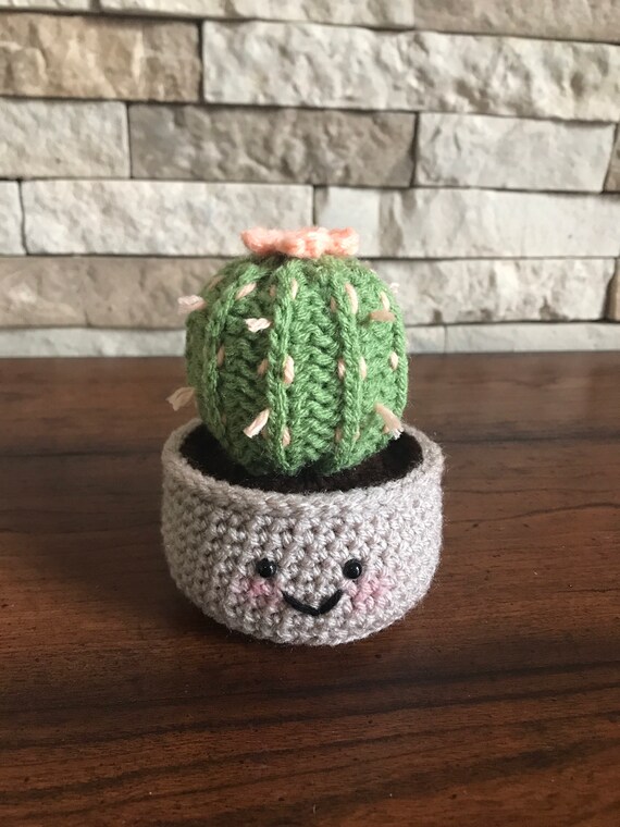 Crocheted Barrel Cactus in Pot With Face - Etsy