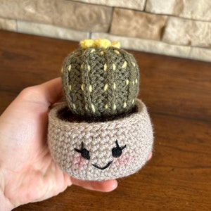 Crochet Barrel Cactus in Pot With Face, Cute Cactus Decor, Cactus Desk ...