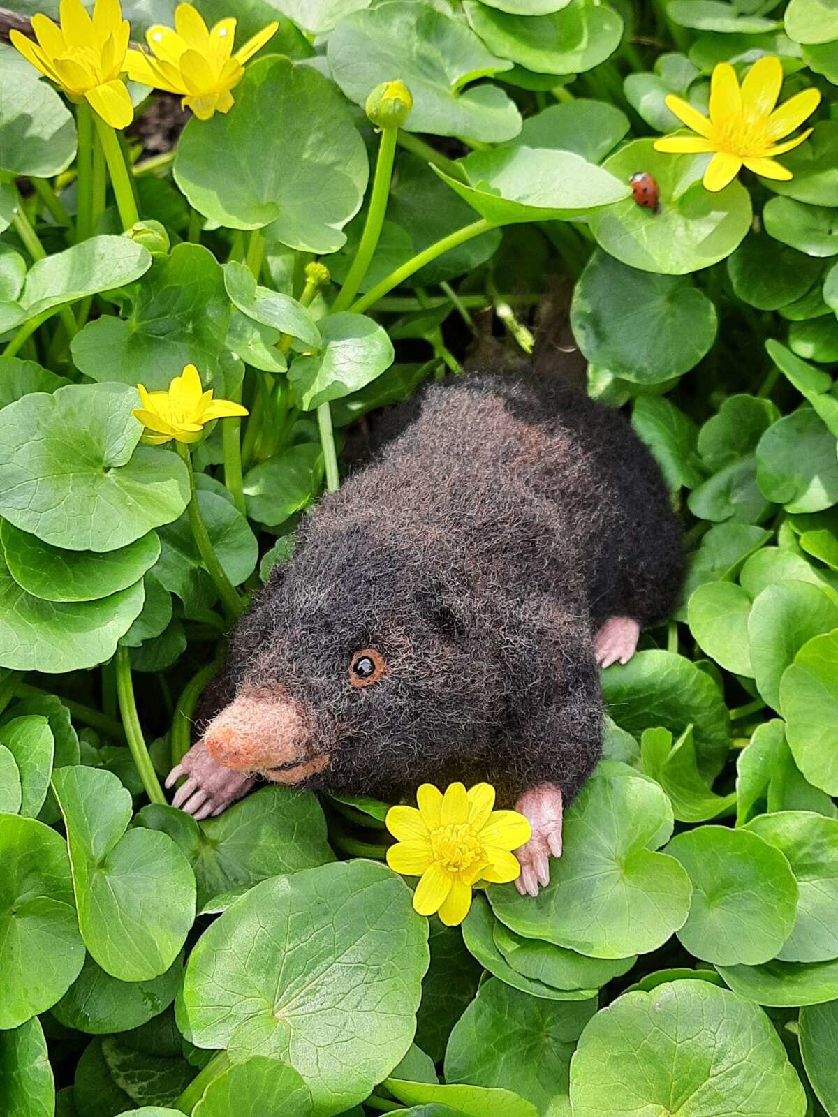 Needle felted mole Wool animals Felt mole toy Needle felted | Etsy