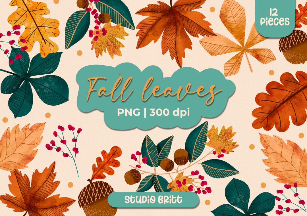 Autumn Clipart Illustrations, Hand-drawn Autumn Leaves, Autumn Leaves ...