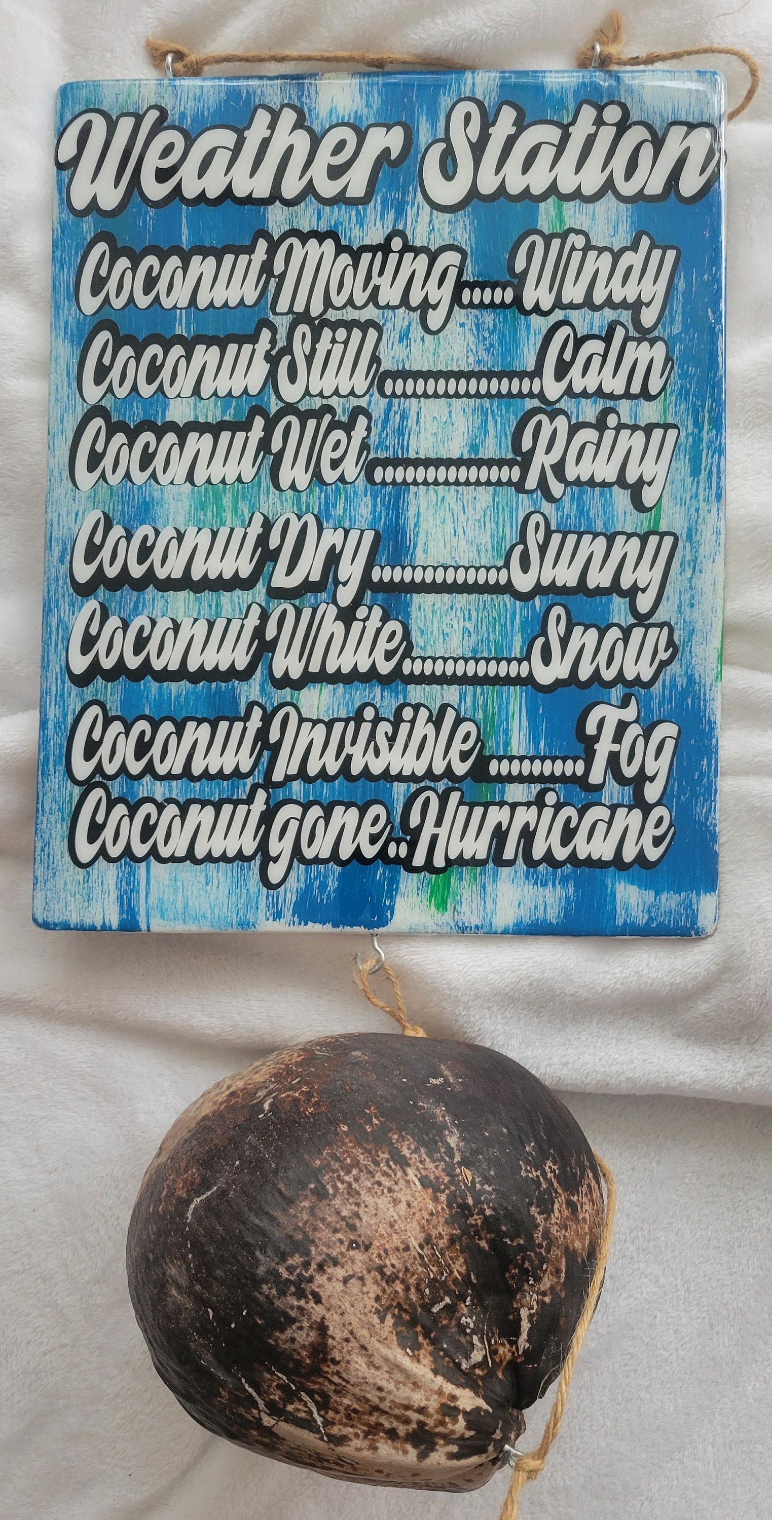 Coconut Weather Sign - Etsy