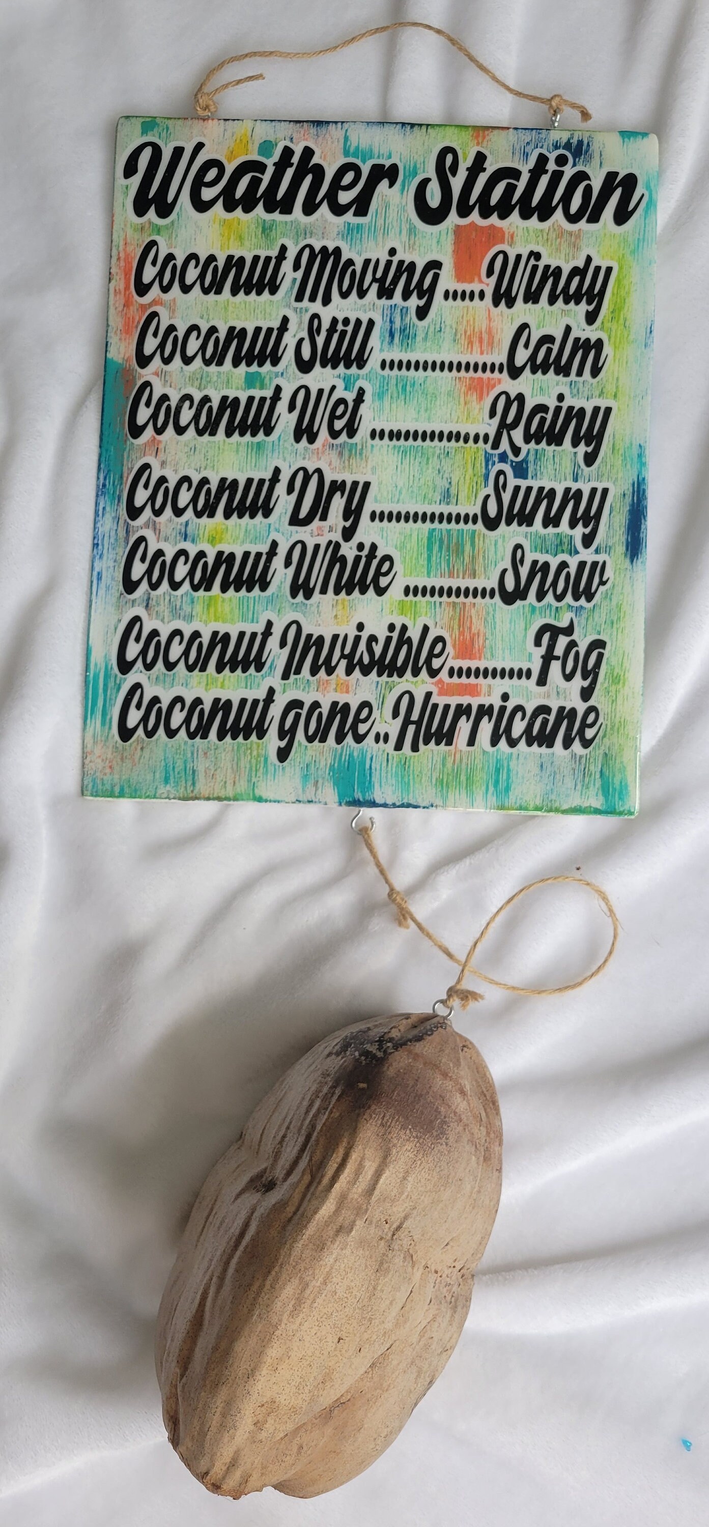 Coconut Weather Sign - Etsy