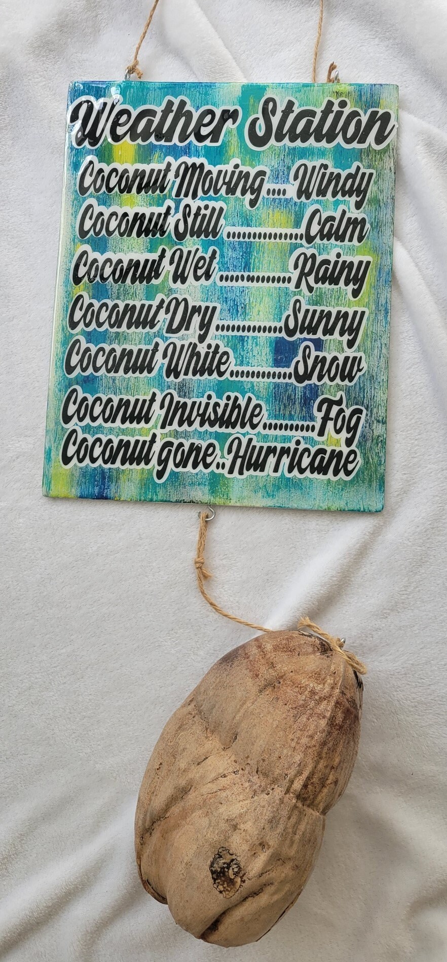 Coconut Weather Sign - Etsy