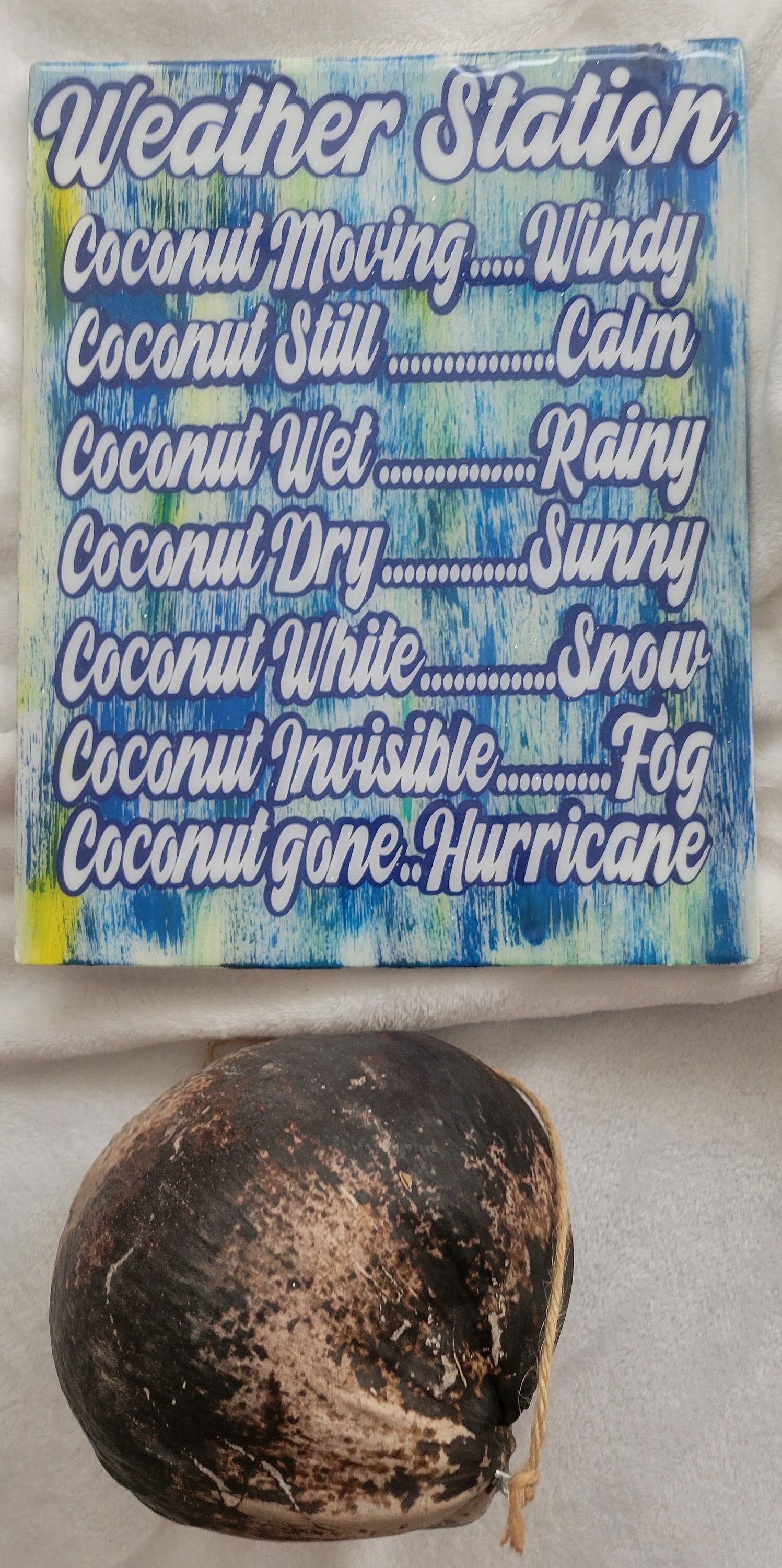 Coconut Weather Sign - Etsy