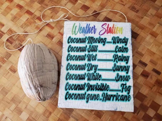 Coconut Weather Sign - Etsy