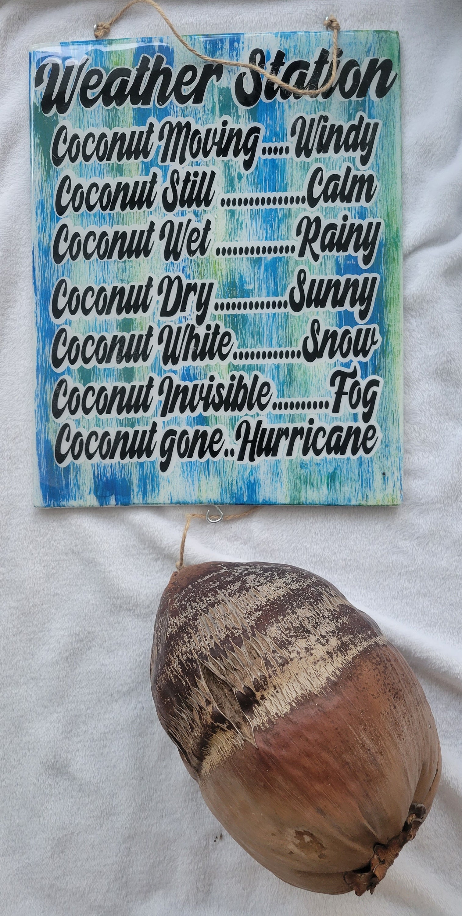Coconut Weather Sign - Etsy