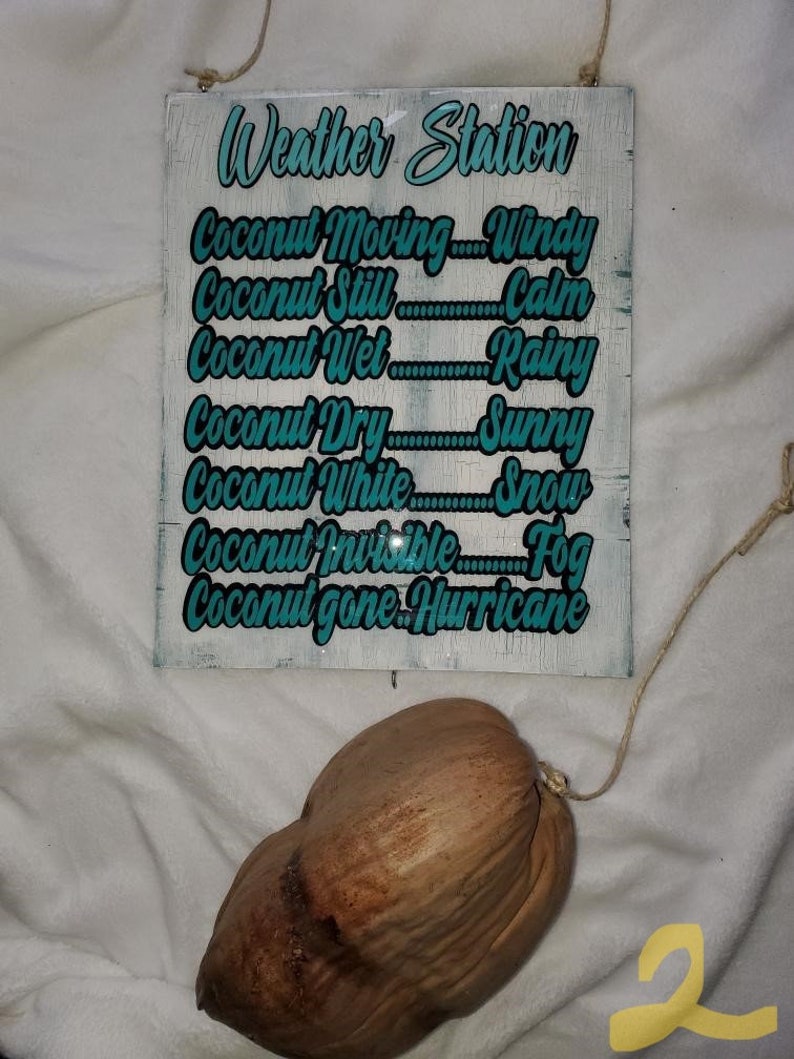 Coconut Weather Sign - Etsy