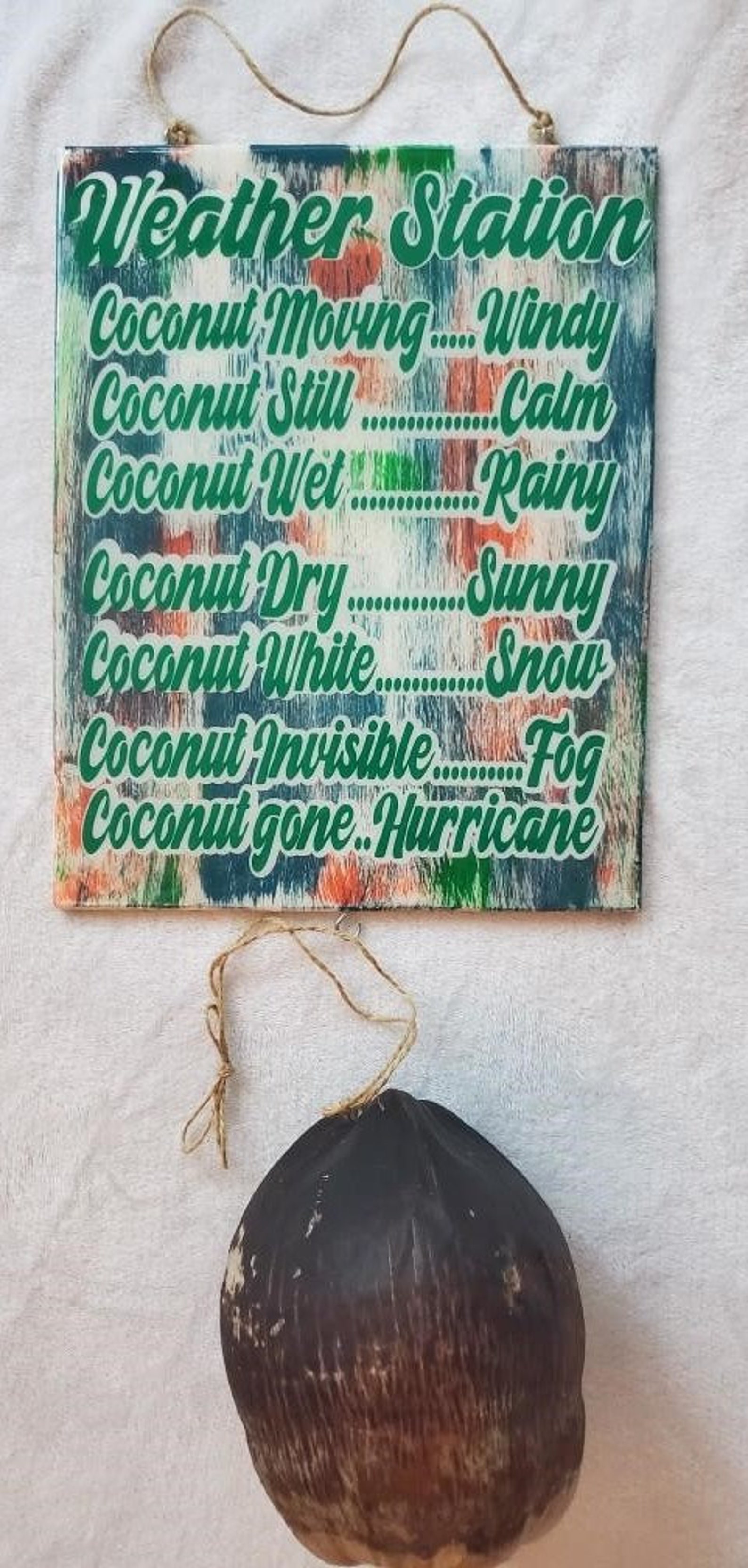 Coconut Weather Sign - Etsy