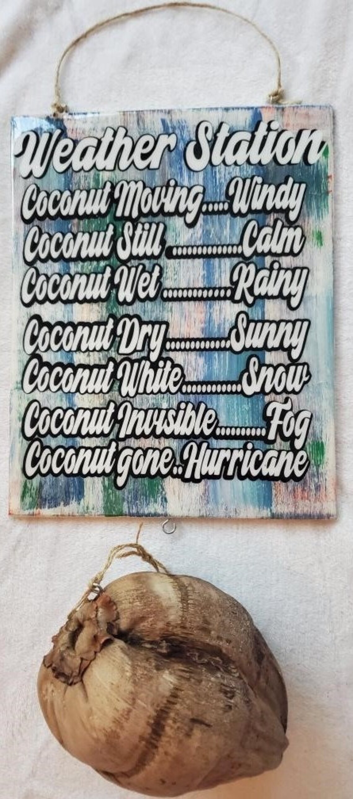 Coconut Weather Sign - Etsy