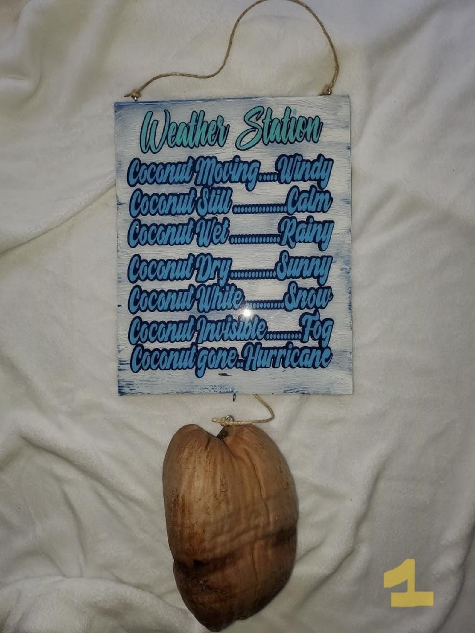 Coconut Weather Sign - Etsy