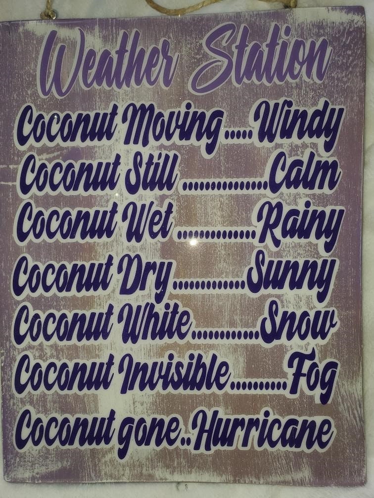 Coconut Weather Sign - Etsy