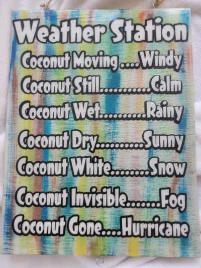 Coconut Weather Sign - Etsy