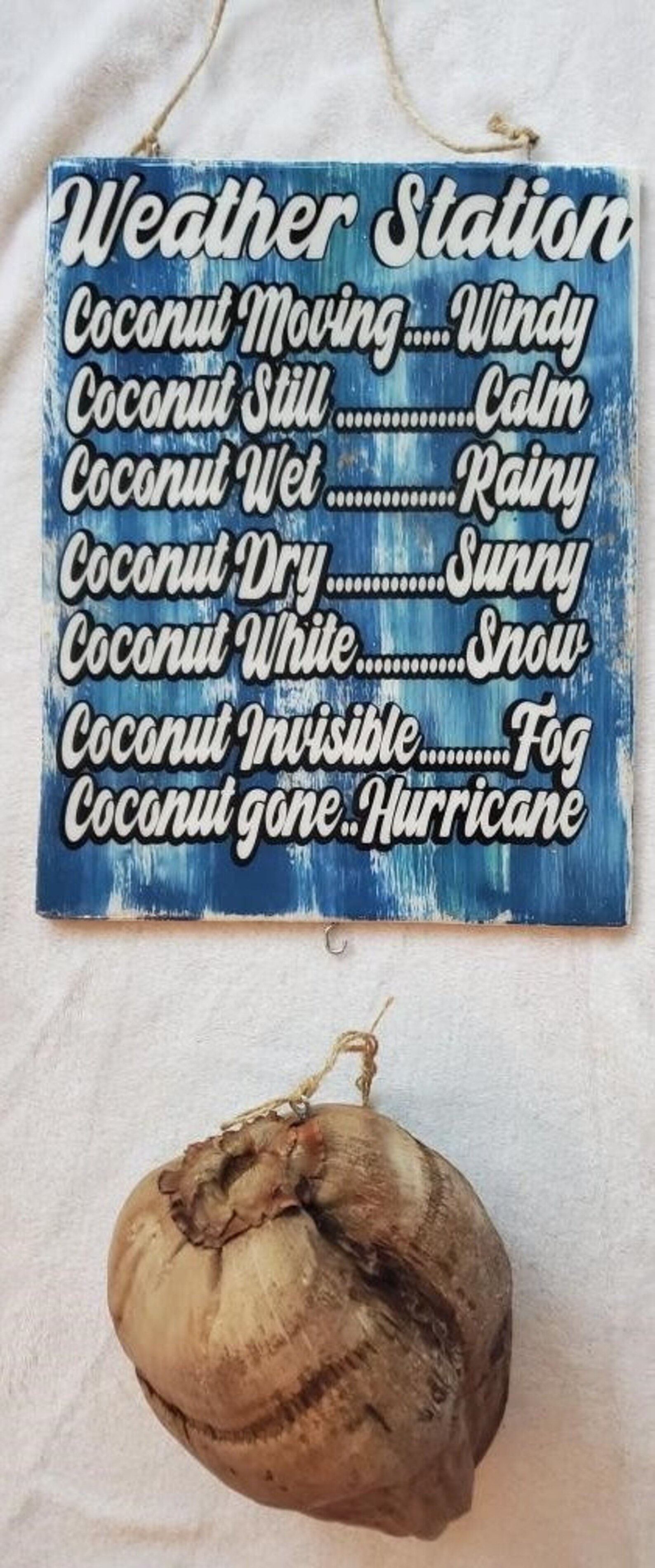 Coconut Weather Sign - Etsy