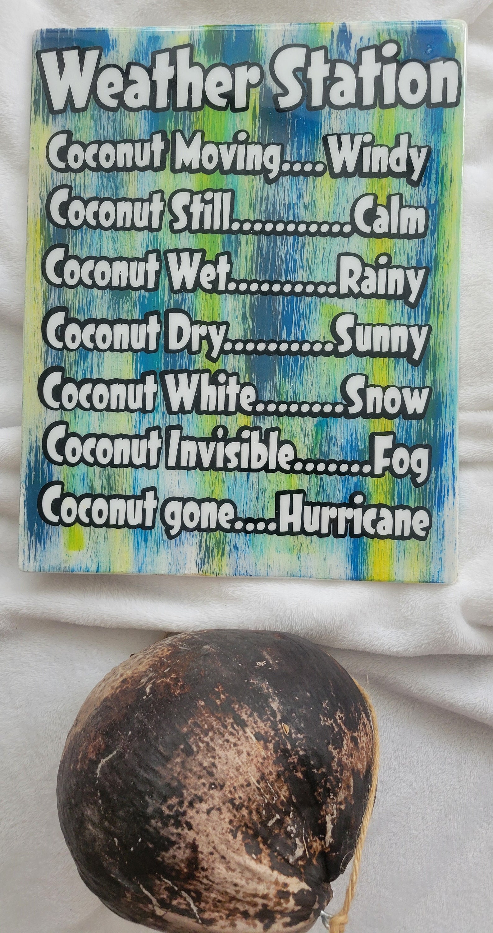 Coconut Weather Sign - Etsy