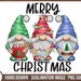 Merry Christmas Gnomes Sublimation, Winter Gnomes Png Sublimation, Snow ...