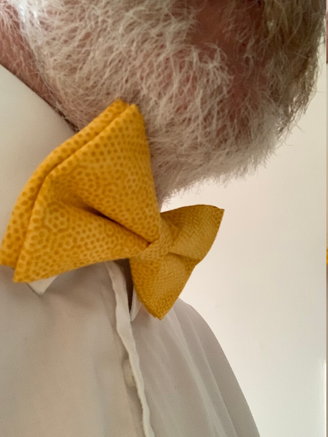 Bow Tie. Double Bow. Limited Edition - Etsy
