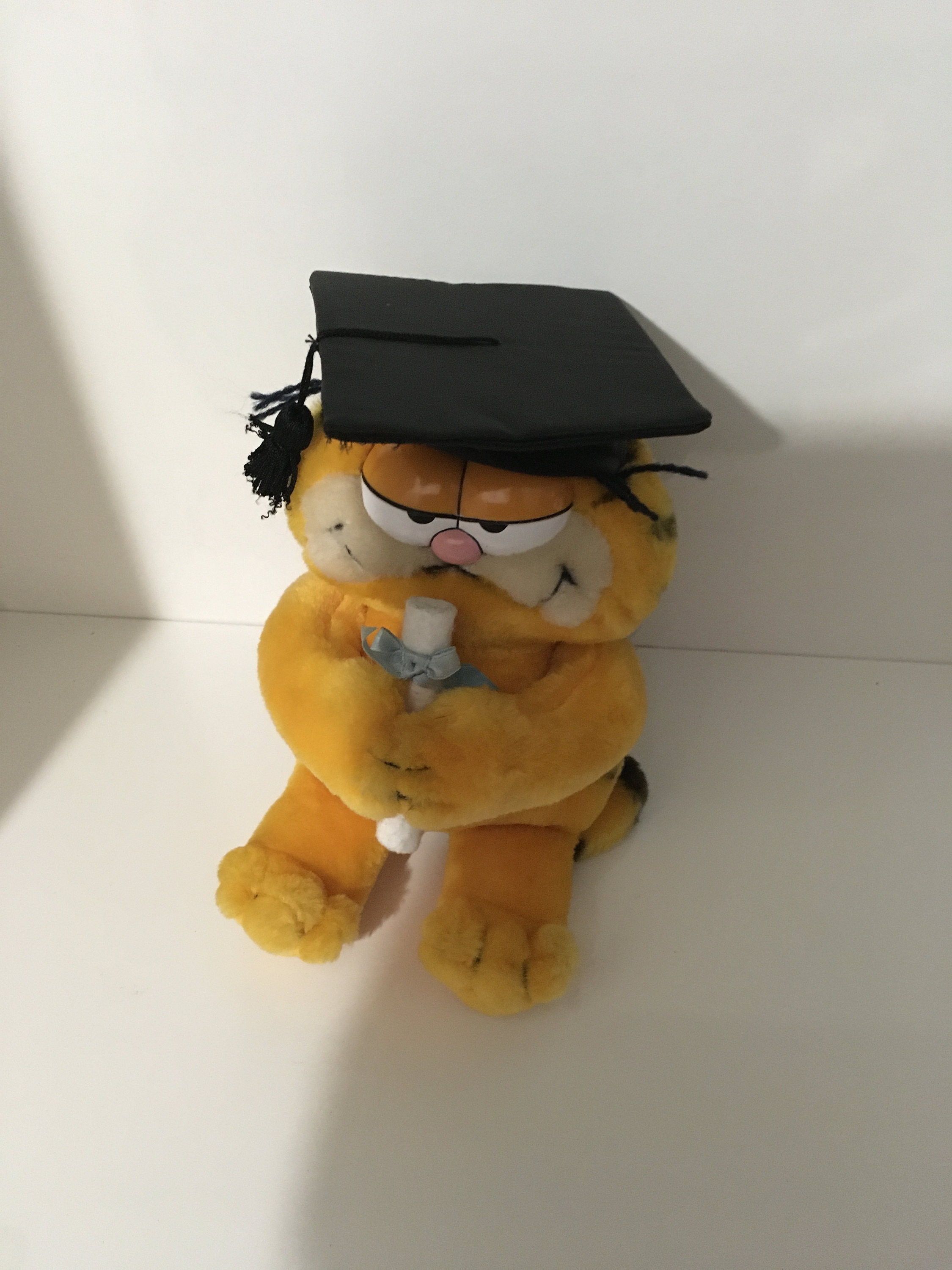 Vintage Garfield Plush Diploma Graduation 1978 Dakin Very Good - Etsy