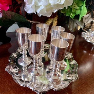 Silver 7 Piece Cordial Set With Tray - Etsy