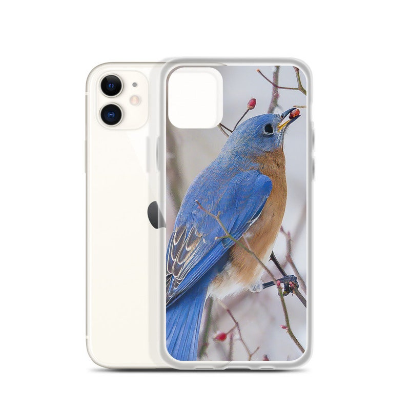 Bluebird on Branch - Etsy