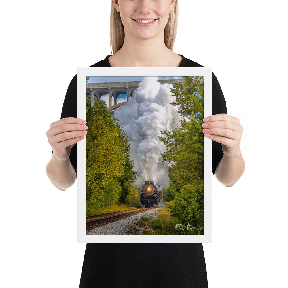 Train Under Bridge Framed Photograph Train Under Bridge Framed Poster ...