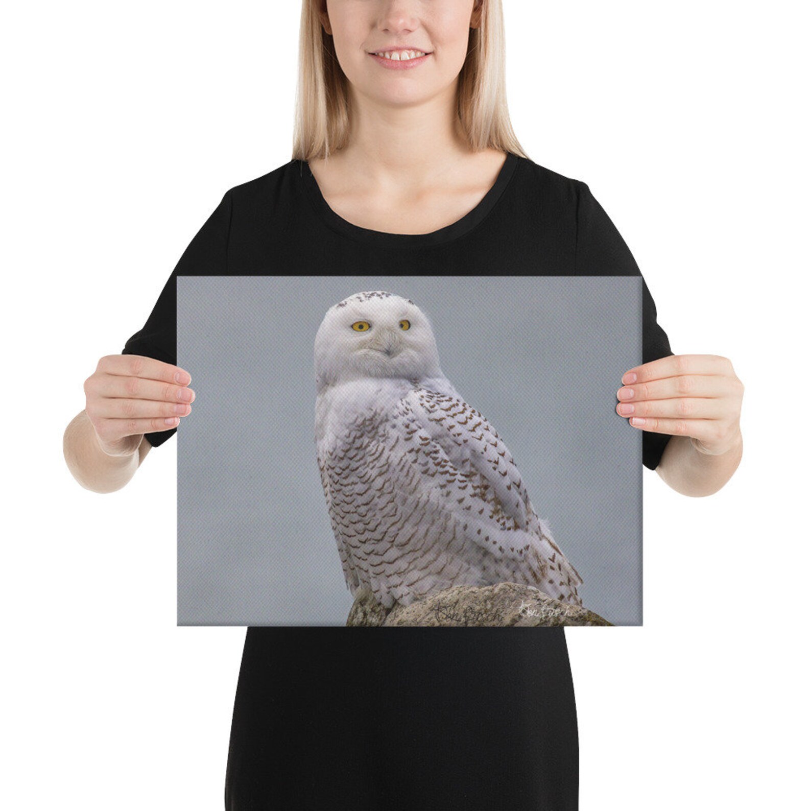 Snowy Owl Canvas Print Wall Art Housewarming Gift - Etsy