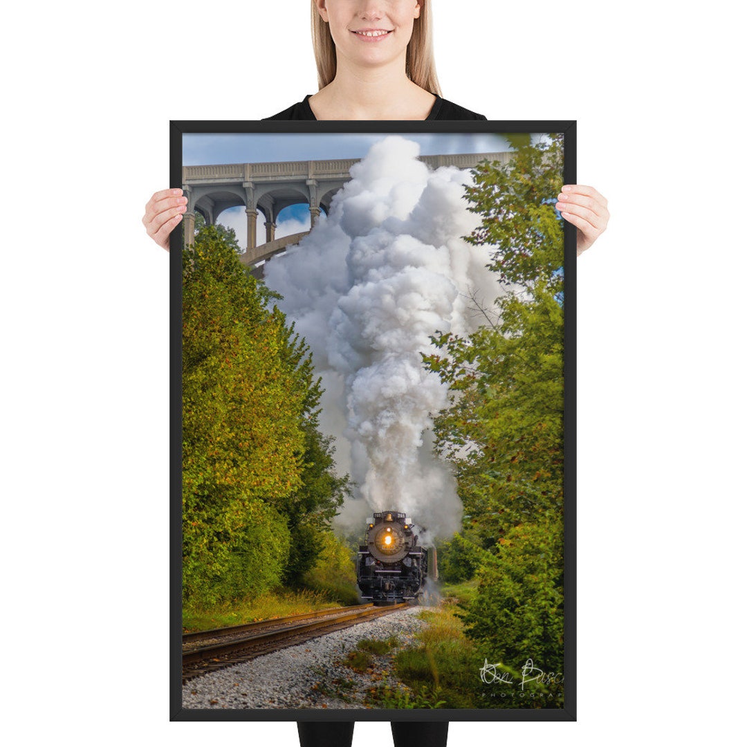 Train Under Bridge Framed Photograph | Train Under Bridge Framed Poster ...