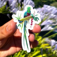 Quetzal - Etsy