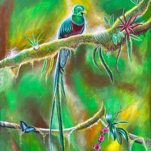 Quetzal Art Print, Quetzal Painting, Guatemalan Art, Tropical Art ...