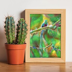 Quetzal Art Print, Quetzal Painting, Guatemalan Art, Tropical Art ...