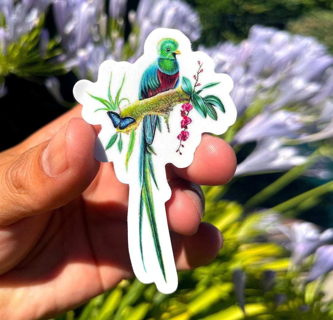 Quetzal Sticker, Quetzal, Guatemala Sticker, Guatemalan, Bird Sticker ...